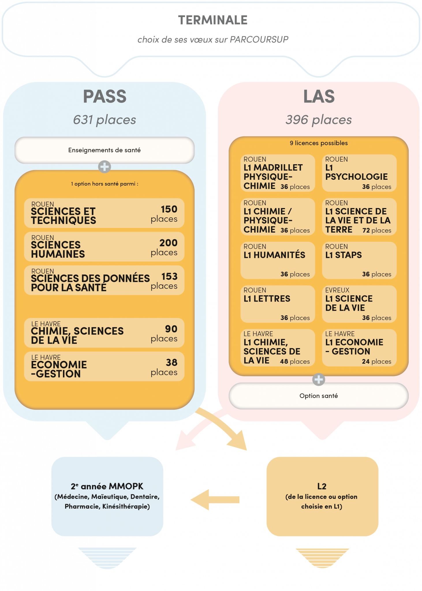Réforme PACES à Rouen/Le Havre : le PASS et les L.AS à l’uN - SEGMO